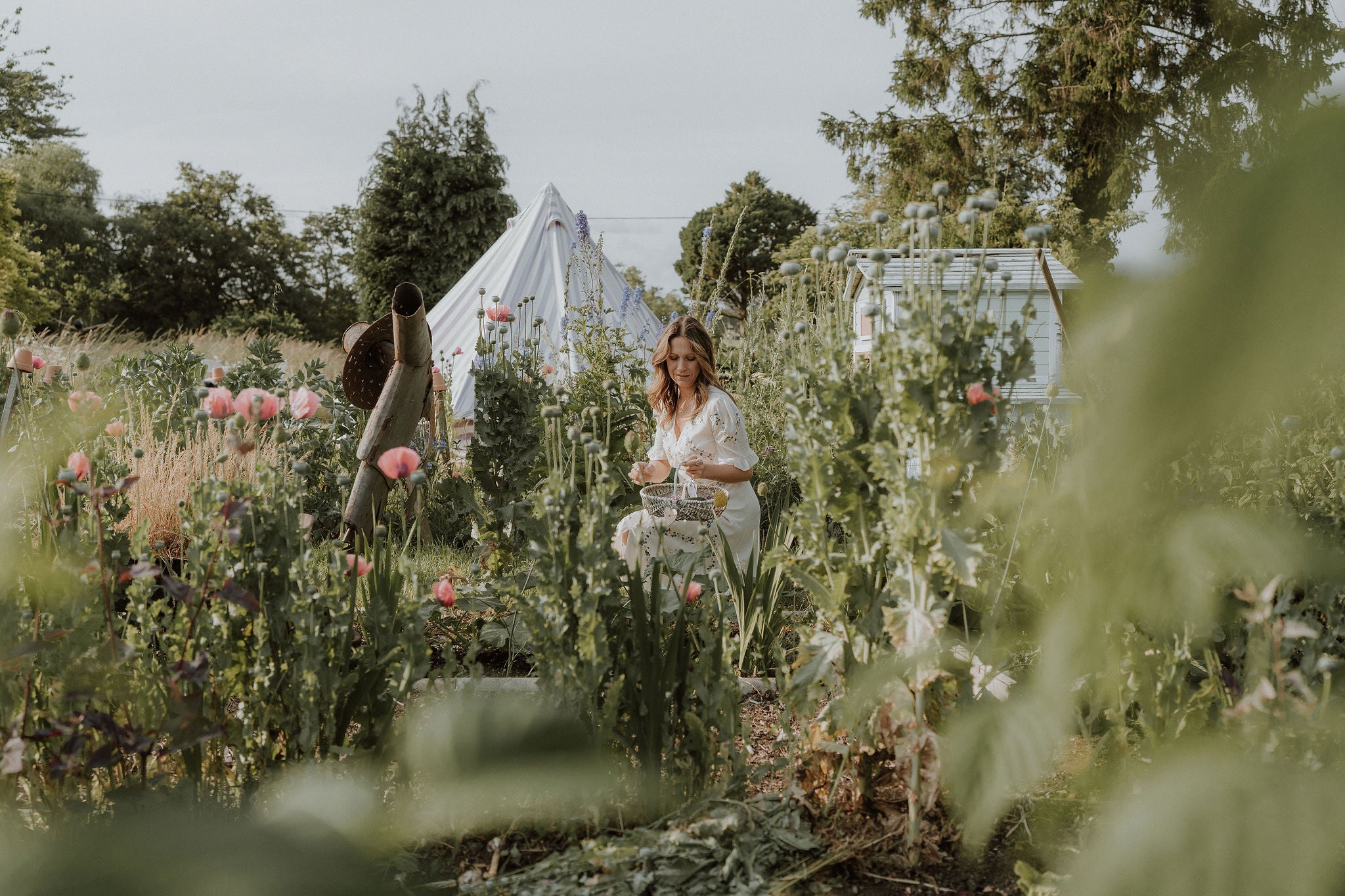 In The Garden With August Bernstein – HOPE & IVY | Women's Occasionwear ...